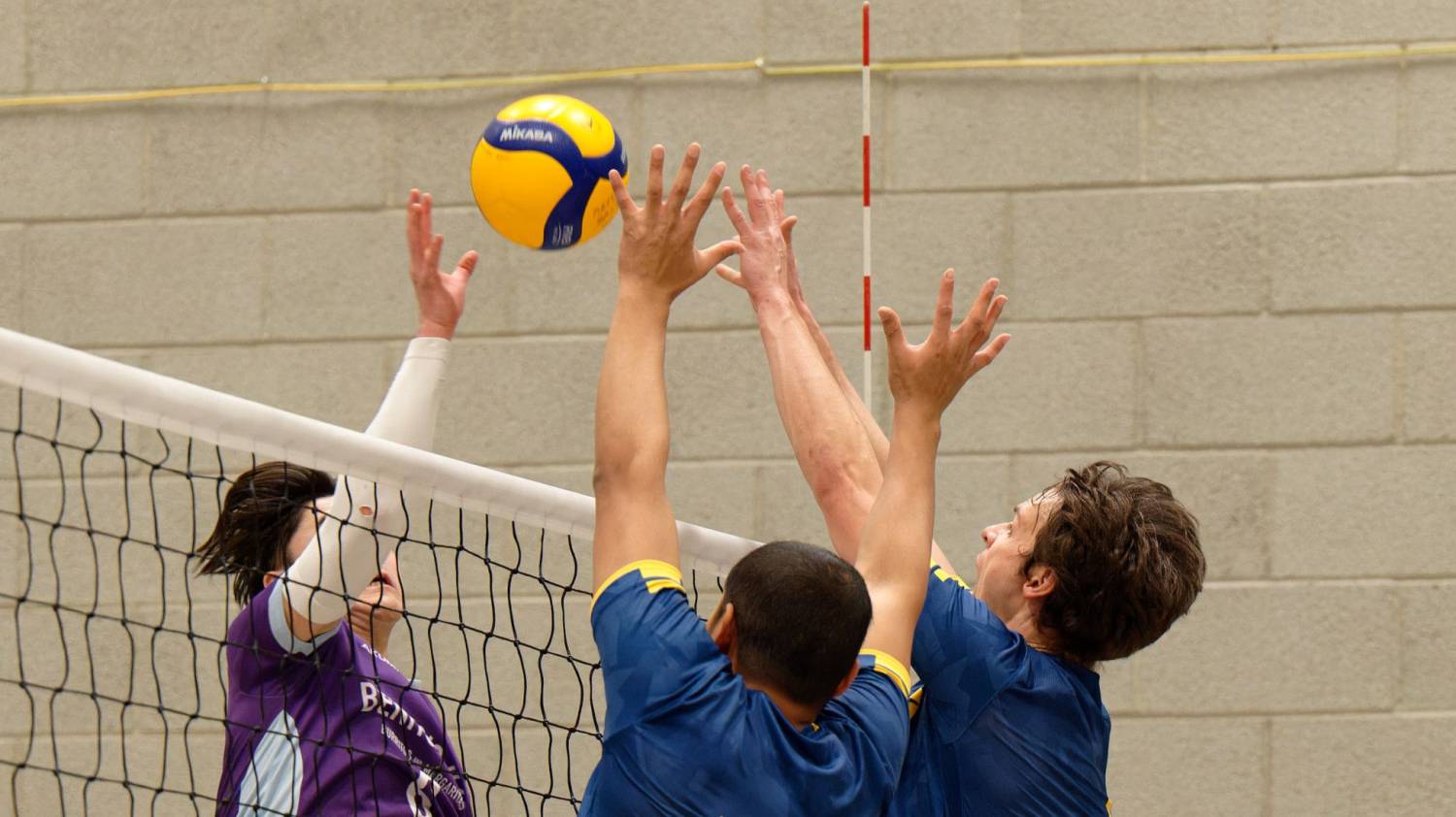 Student Cup