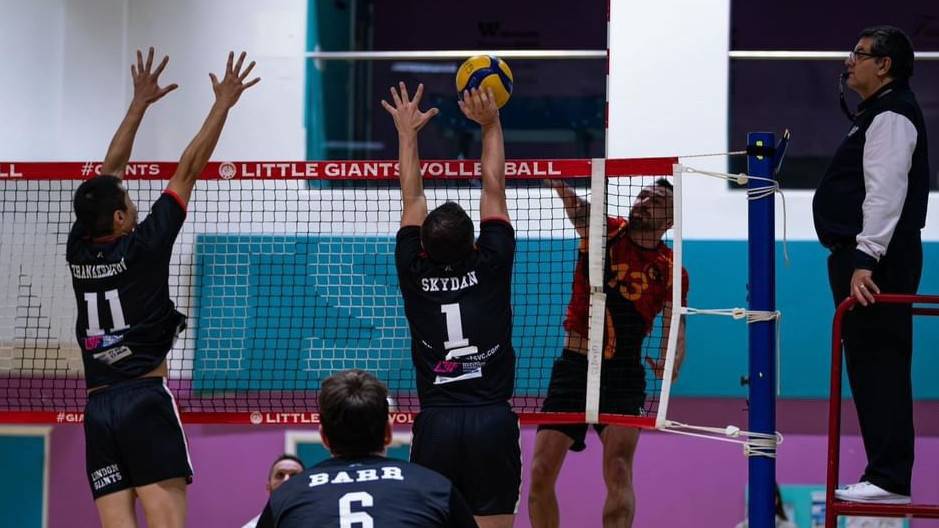 Consultation open on five-year vision for NVL