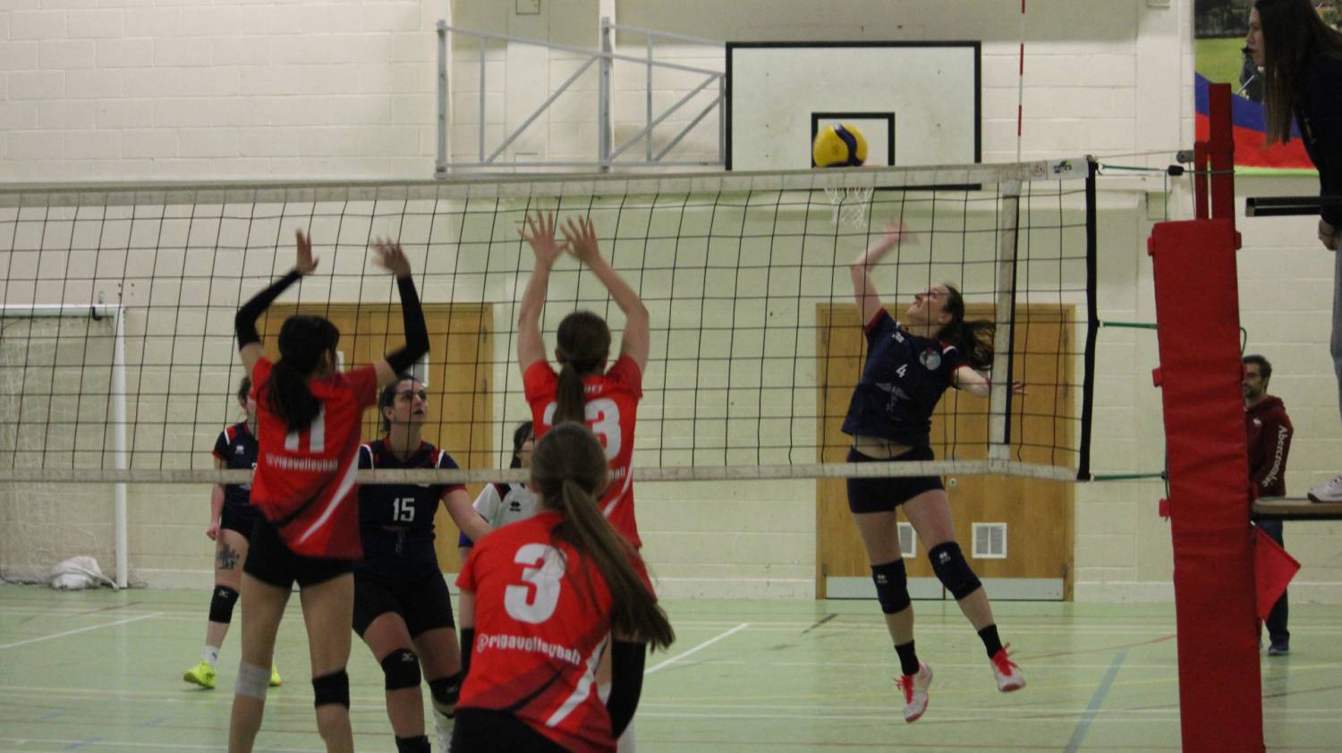 NVL review (25th and 26th January) - Giants win key clash, Jaguars ...